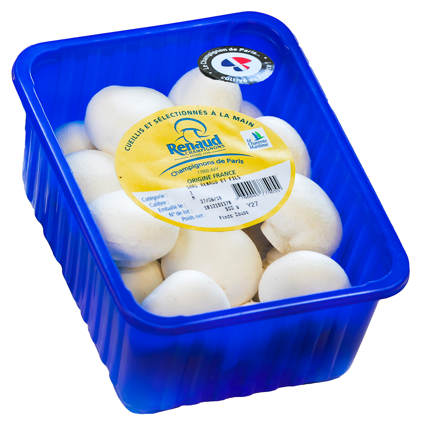 Champignons de Paris - Pieds Coupés (500g – Cat 1 – Cal M ...